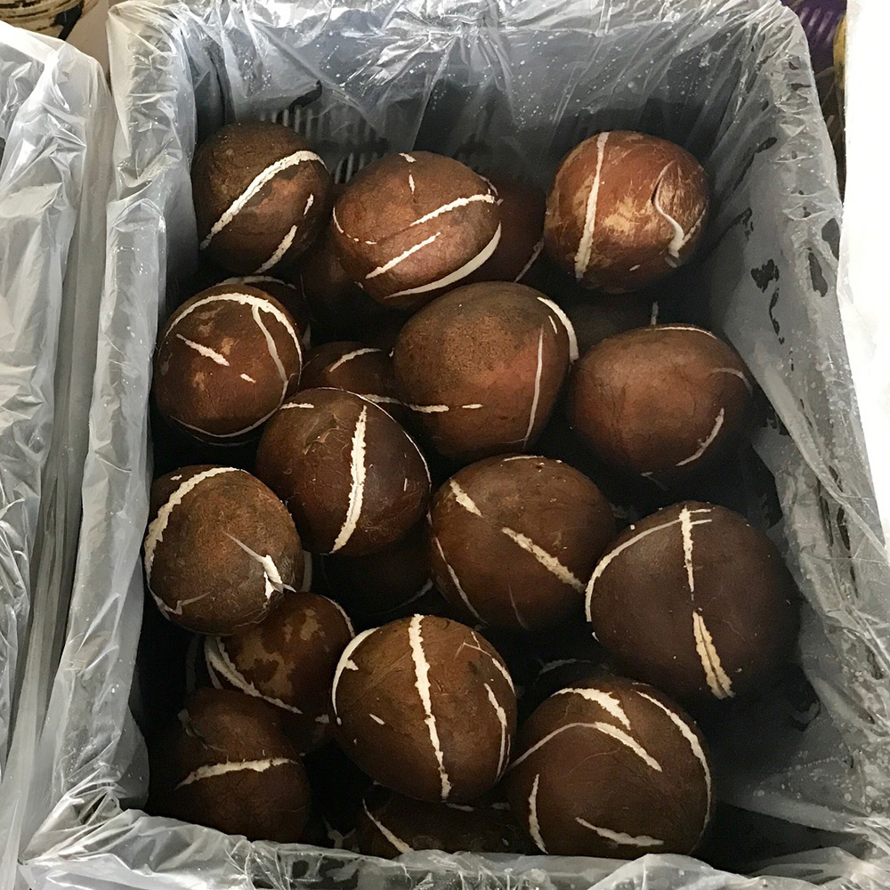 Coconut Products Johor :: Our Products